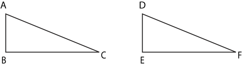 Understanding Congruent and Similar Figures